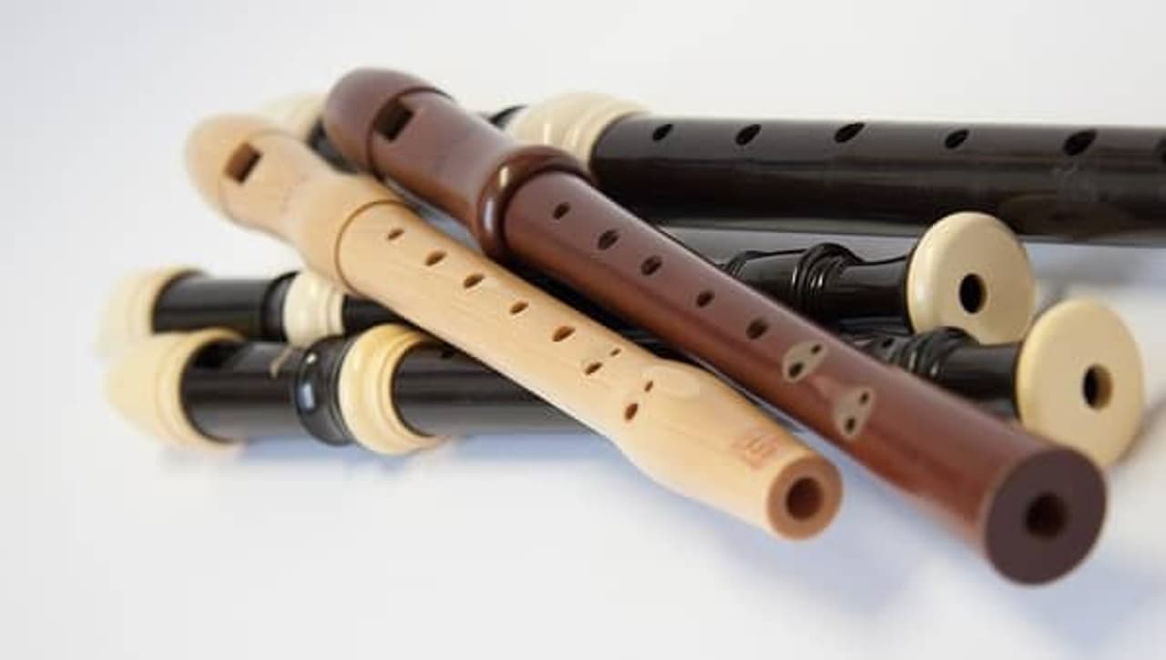 Woodwind Family Flute Instrument Selection Guide